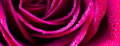 eRAD Radiology Solutions | Web Based PACS Systems