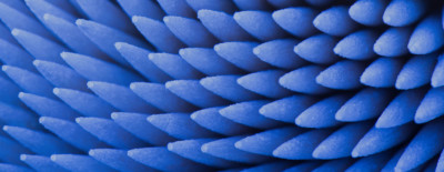 eRAD Radiology Solutions | Web Based PACS Systems