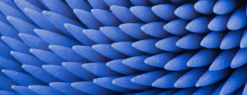 eRAD Radiology Solutions | Web Based PACS Systems